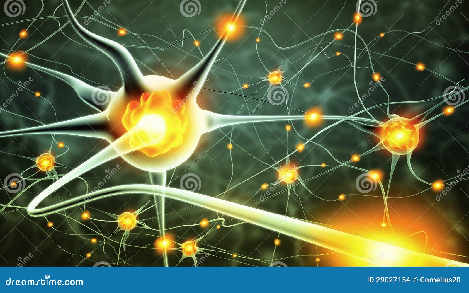Active nerve cells stock illustration. Illustration of energy - 29027134