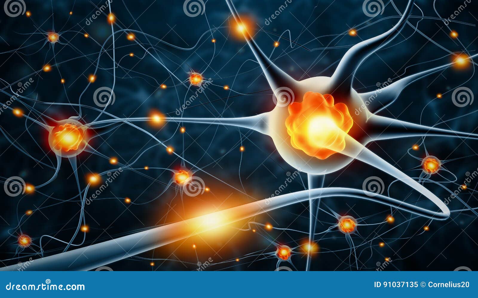 Active nerve cells stock illustration. Illustration of human - 91037135