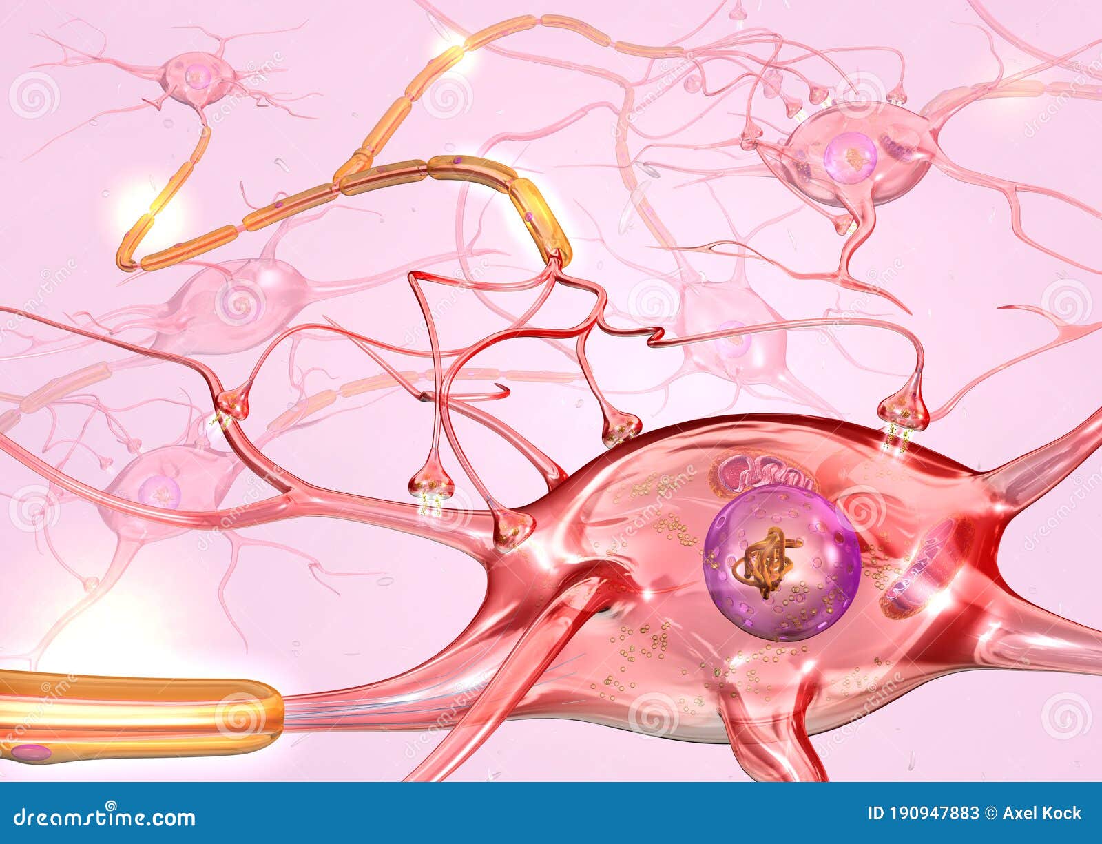 Active Nerve Cells, 3D Illustration Stock Illustration - Illustration ...