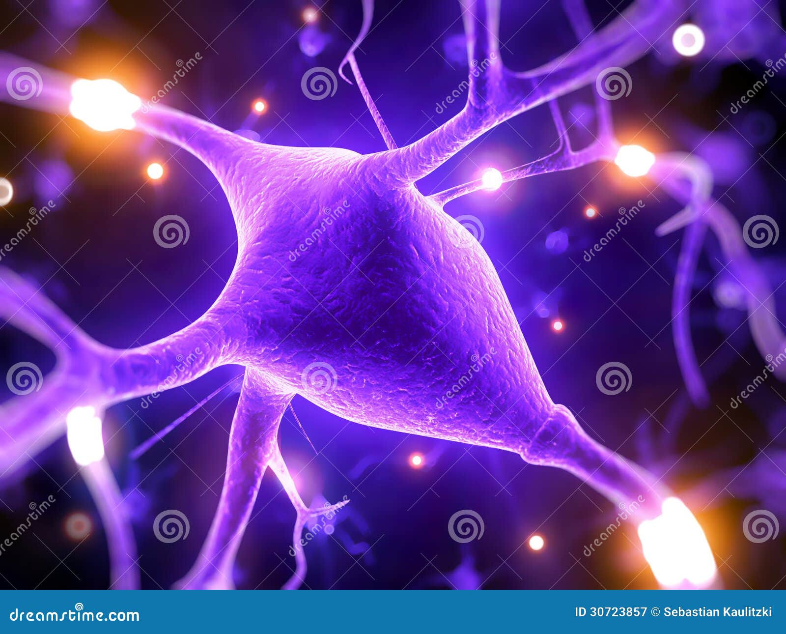 Active nerve cells stock illustration. Illustration of neural - 30723857