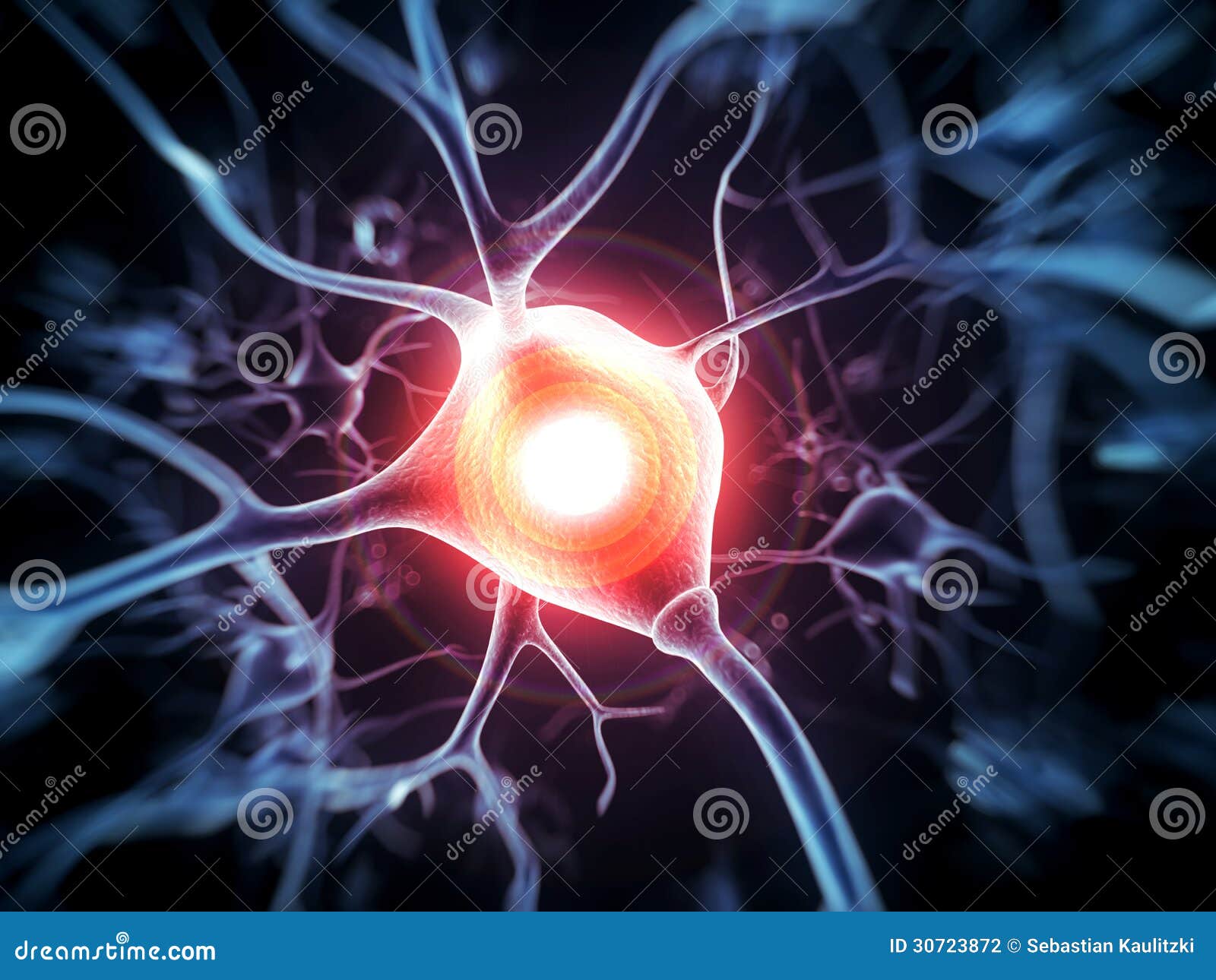 Active nerve cells stock illustration. Illustration of biology - 30723872