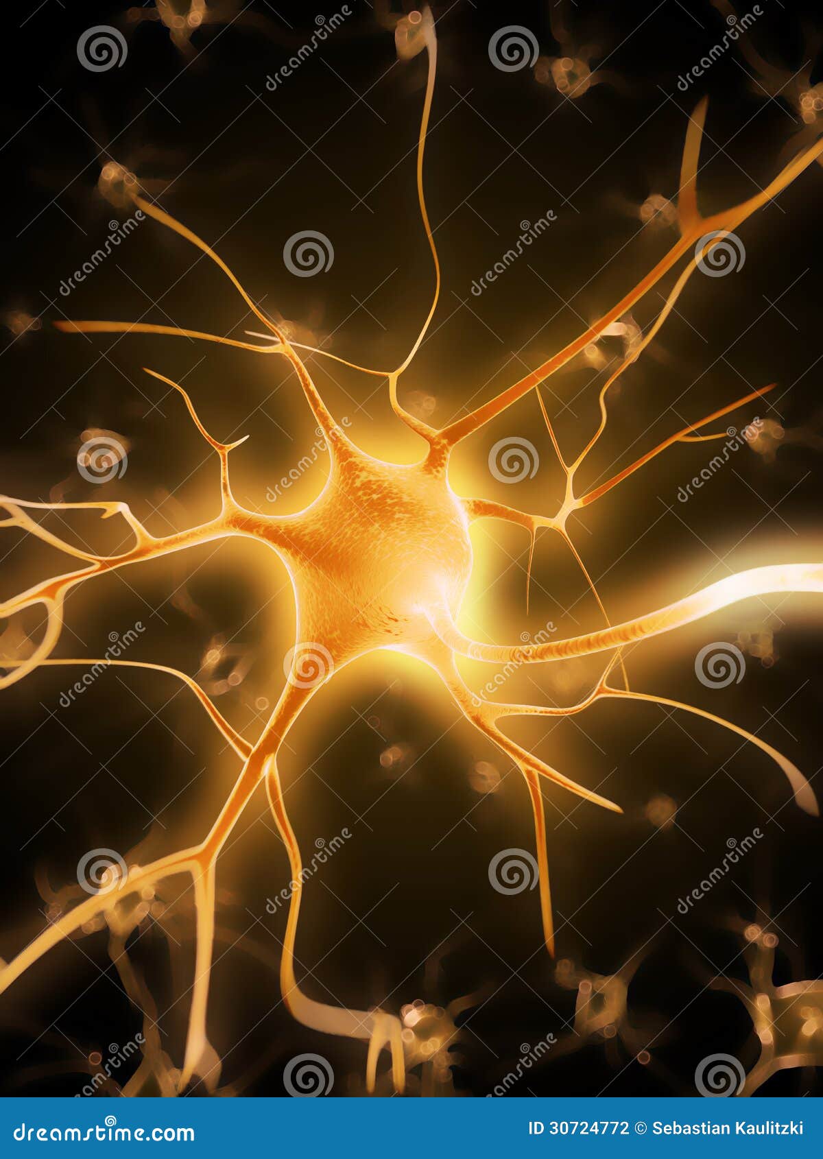 Active nerve cells stock illustration. Illustration of nucleus - 30724772