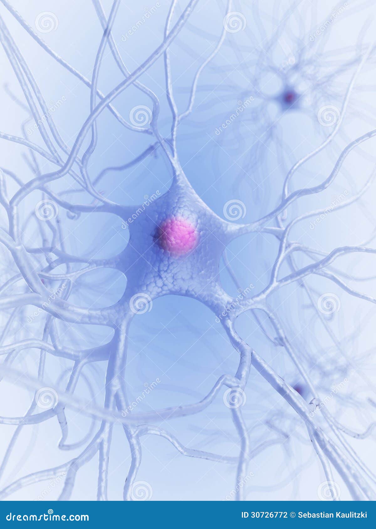 Active nerve cells stock illustration. Illustration of anatomy - 30726772