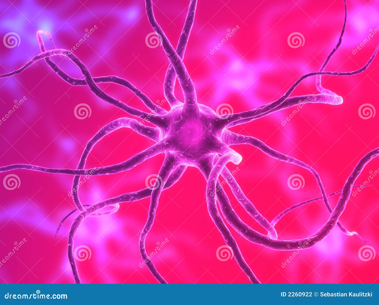 Neurone Cell Structure Cartoon Vector | CartoonDealer.com #76056395