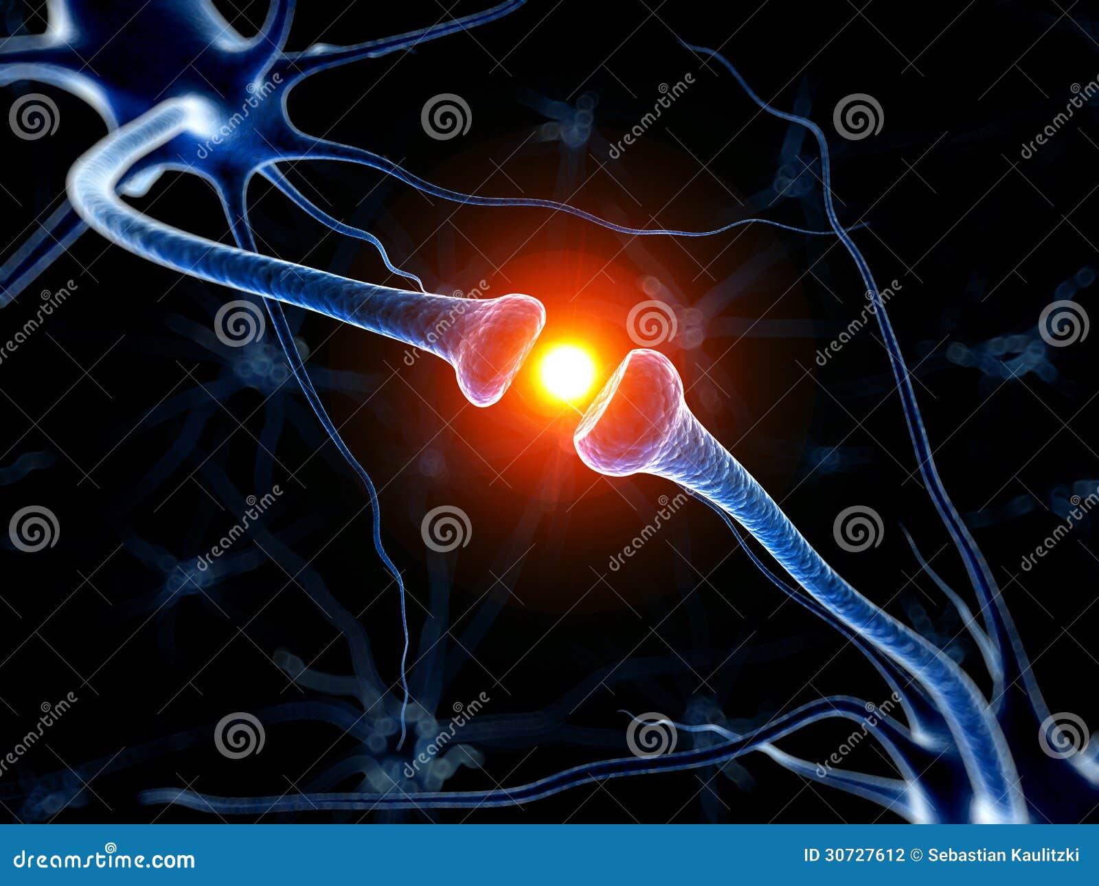 Active neurone stock illustration. Illustration of biological - 30727612