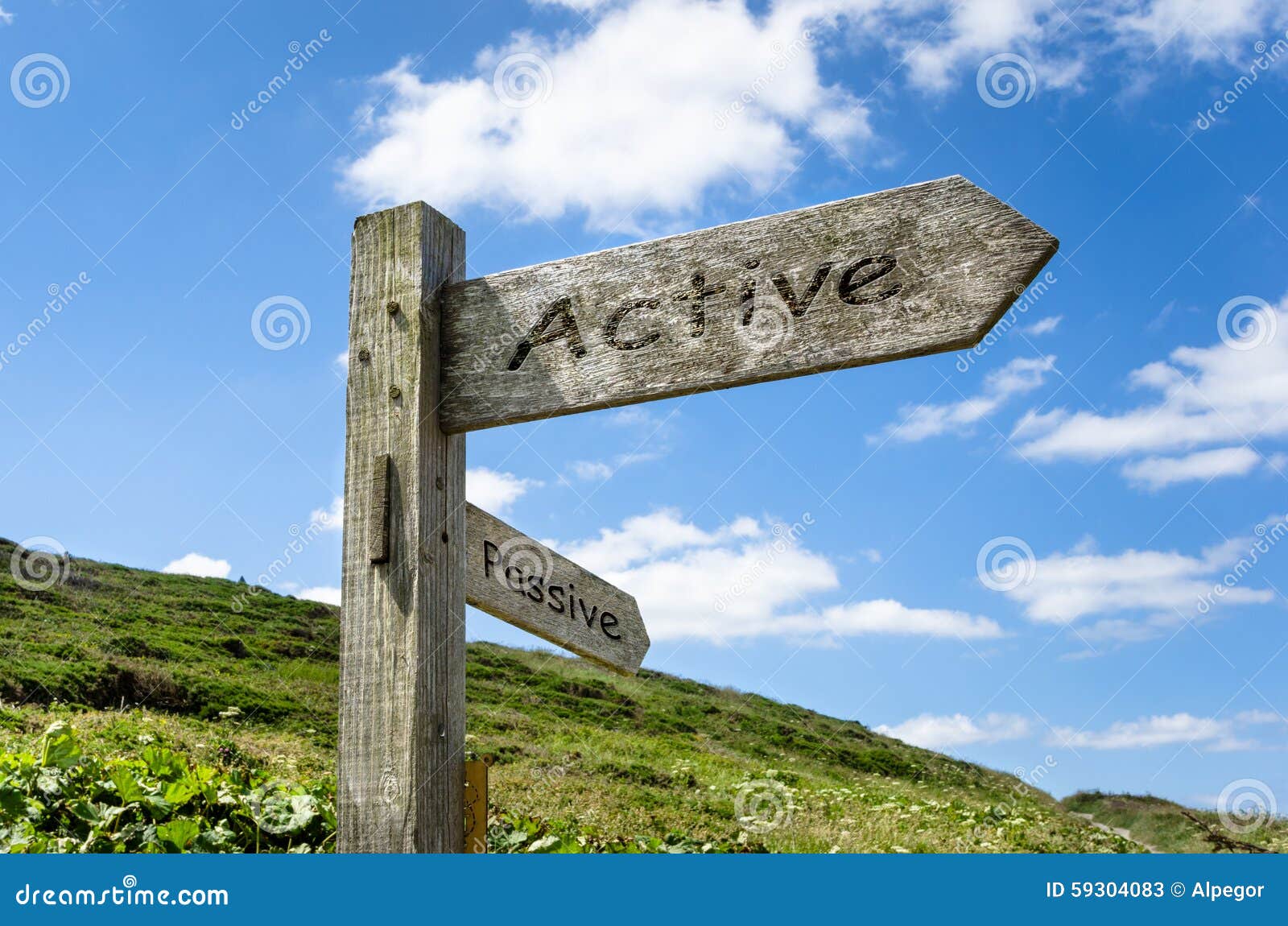 Active or Passive stock image. Image of passive, nature - 59304083