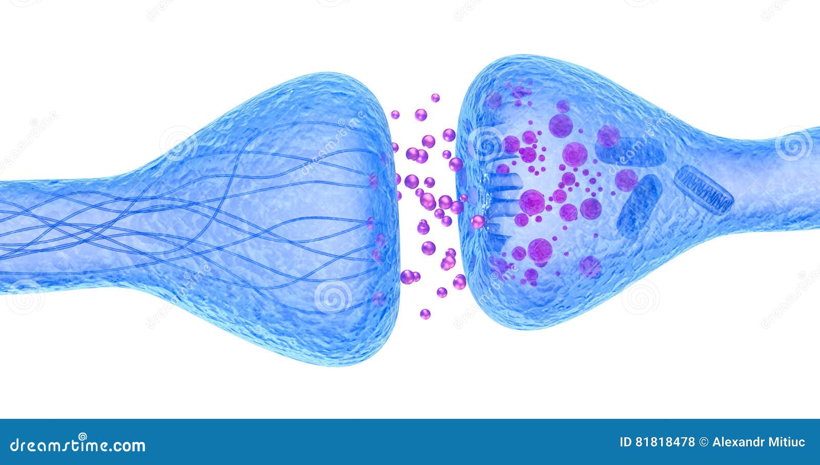 Receptor Cartoons, Illustrations & Vector Stock Images - 14740 Pictures ...