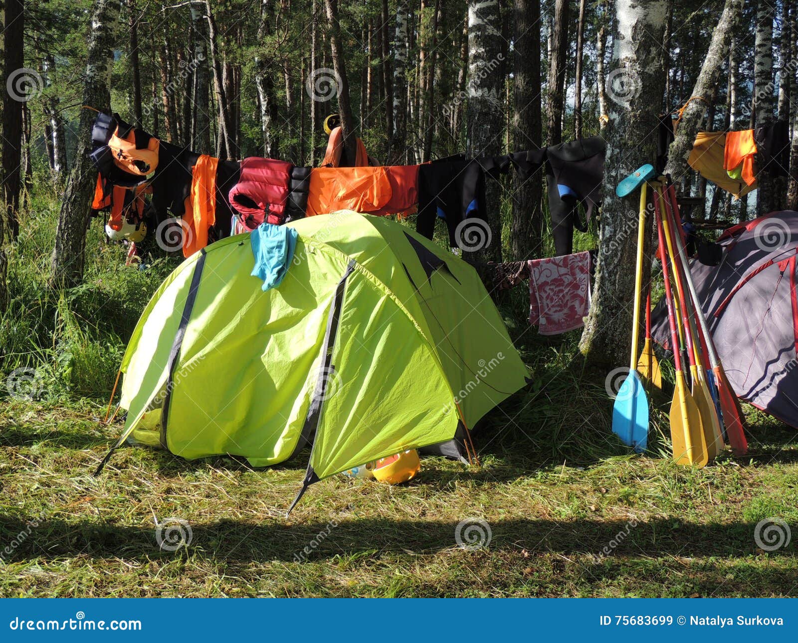 Active Rest Tent in the Woods Tourism Stock Image - Image of nature ...