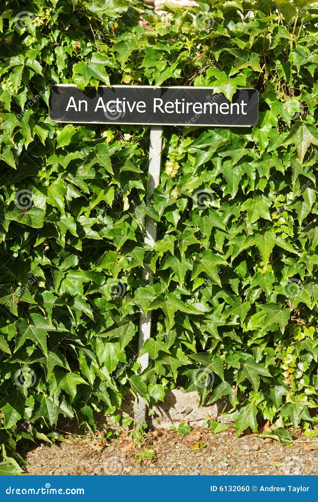 An active retirement stock photo. Image of notice, pension - 6132060