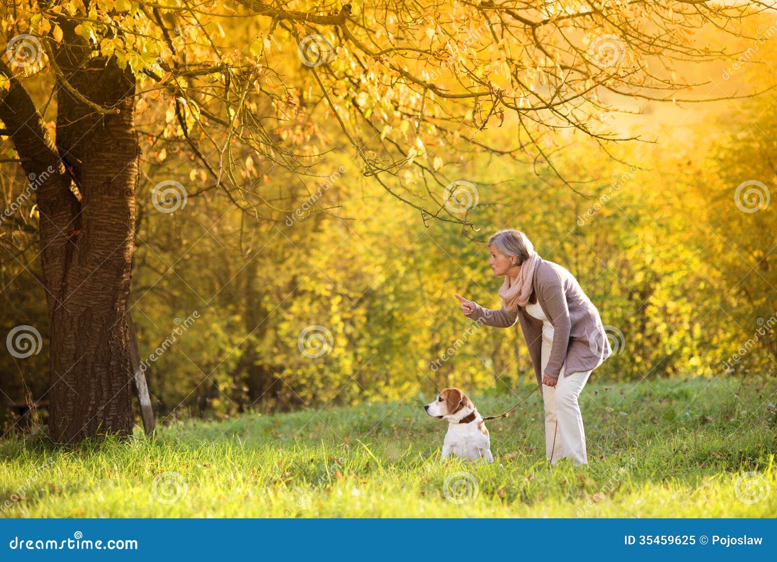 Active senior woman stock image. Image of fields, doggy - 35459625