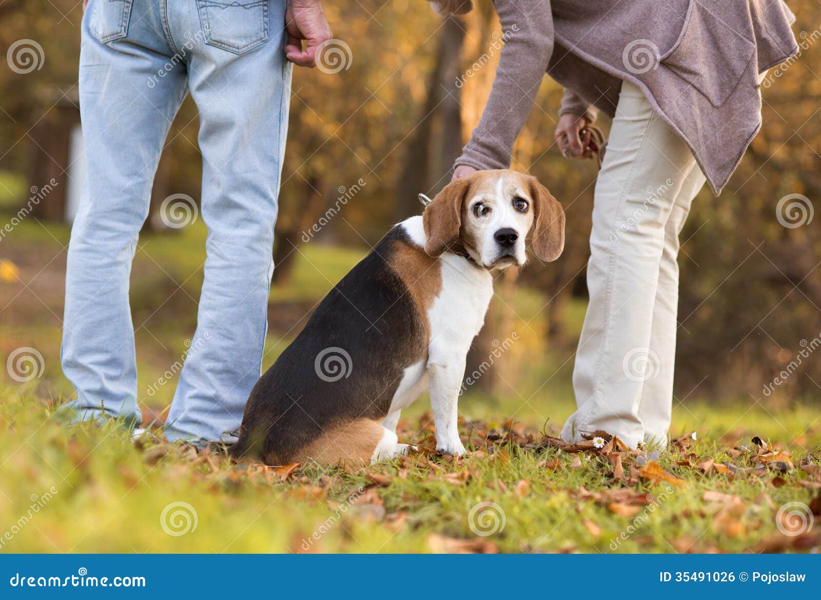 Active Seniors stock photo. Image of park, lifestyle - 35491026