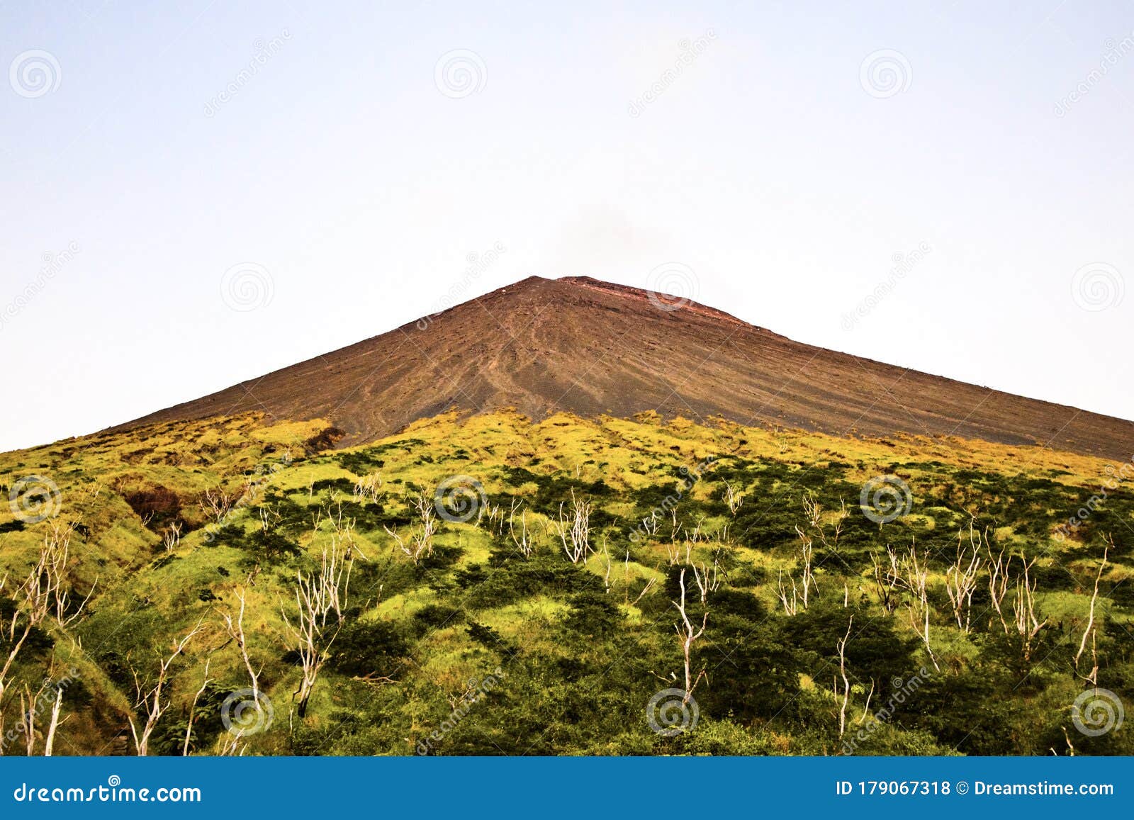 Plant Covered Volcano stock photo. Image of volcano - 179067318