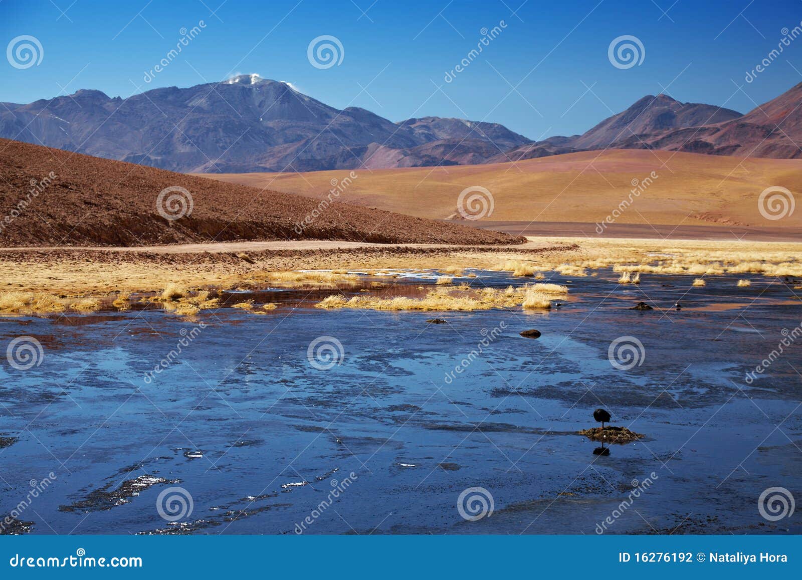 Active Volcano Putana Near Rio Putana, Chile Stock Photo - Image of ...