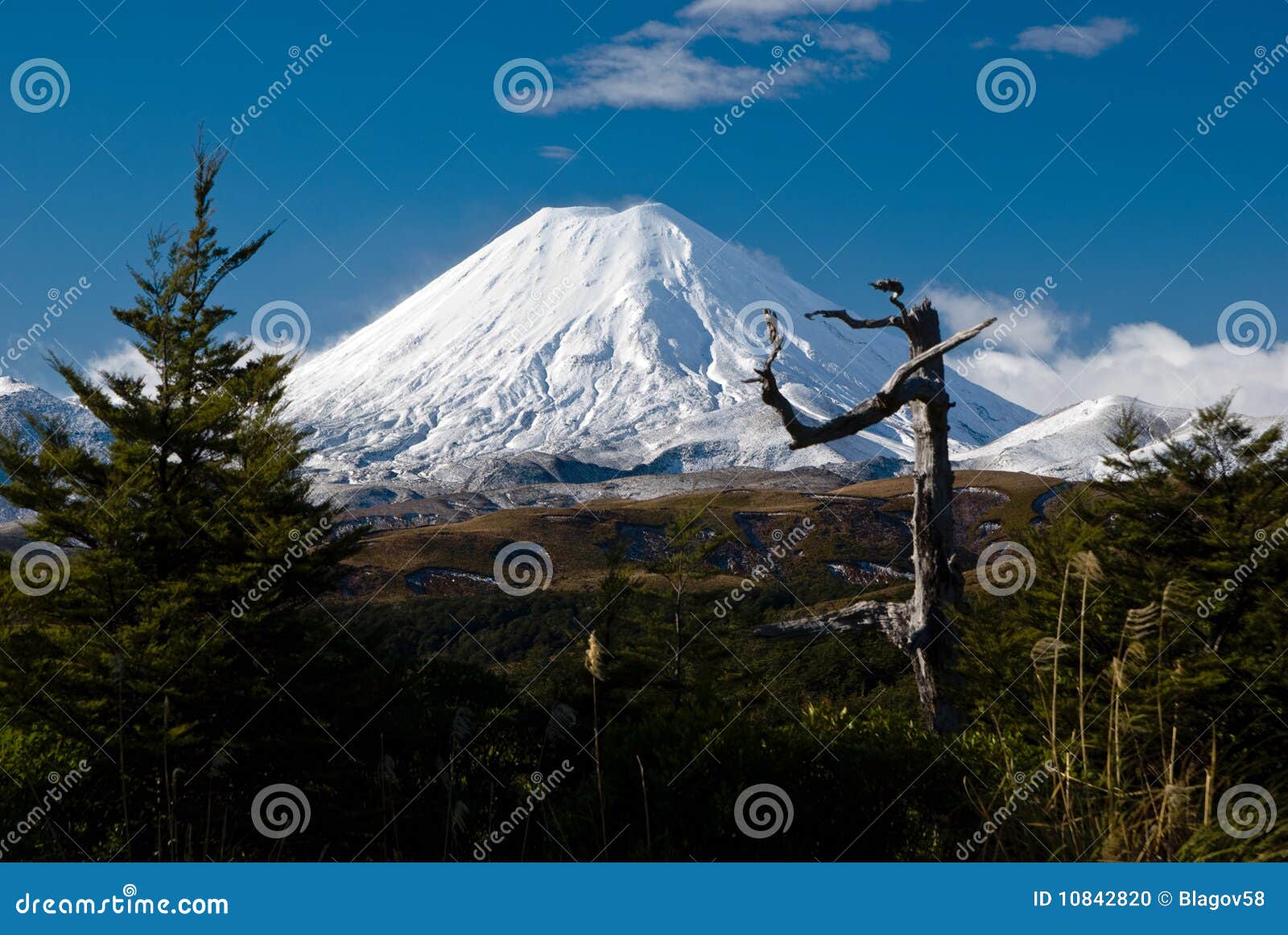 Active Volcano Under Snow Cup Stock Photo - Image of landscapes, green ...