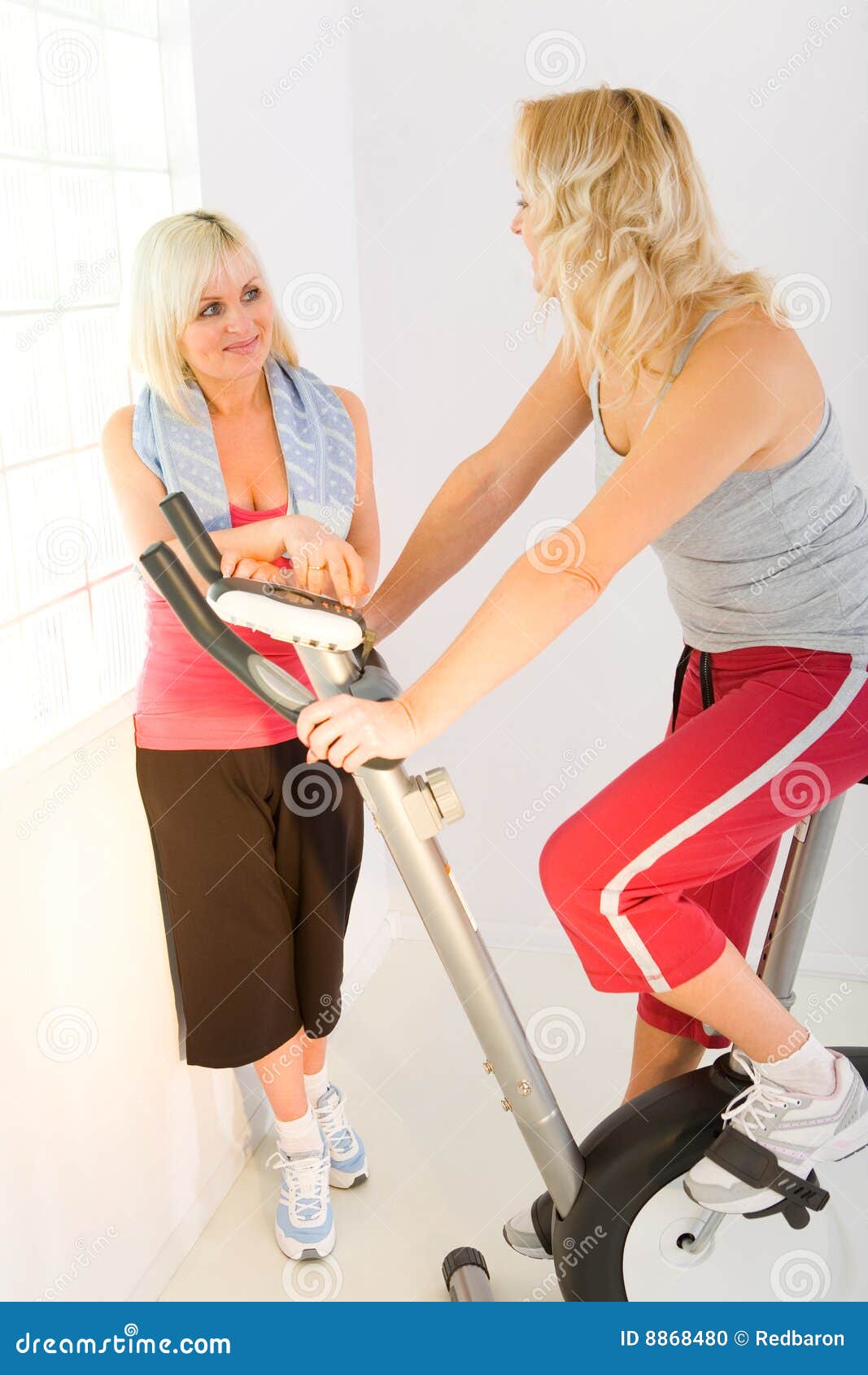 Active women stock photo. Image of effort, healthly, indoor - 8868480