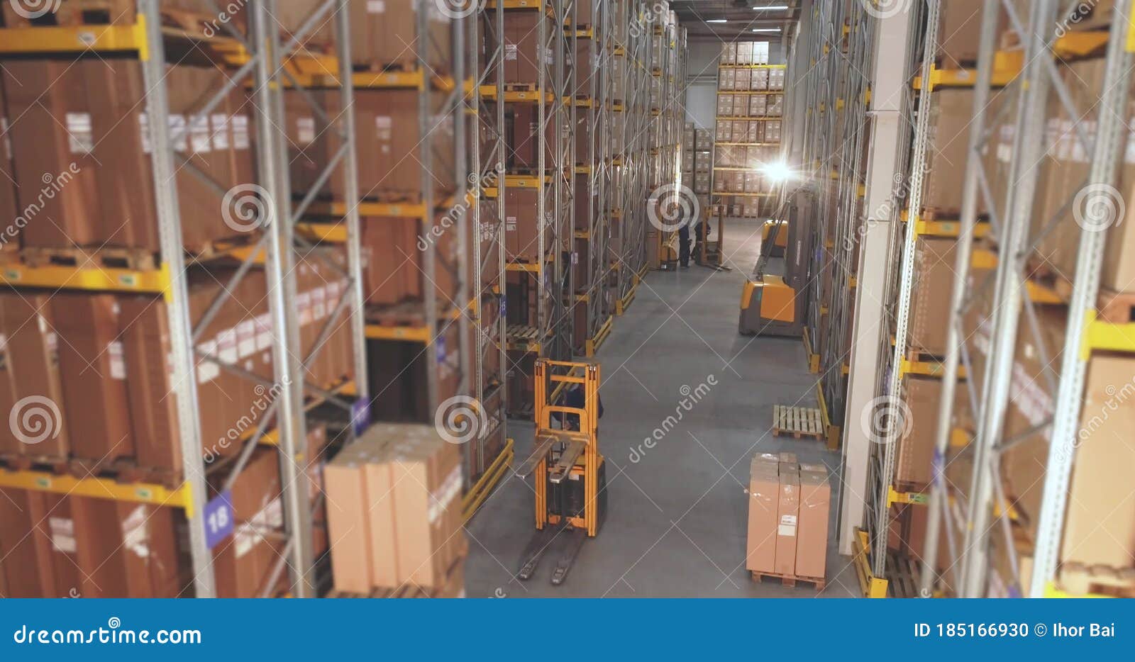 Active Work in the Warehouse, Large Modern Warehouse, Industrial ...