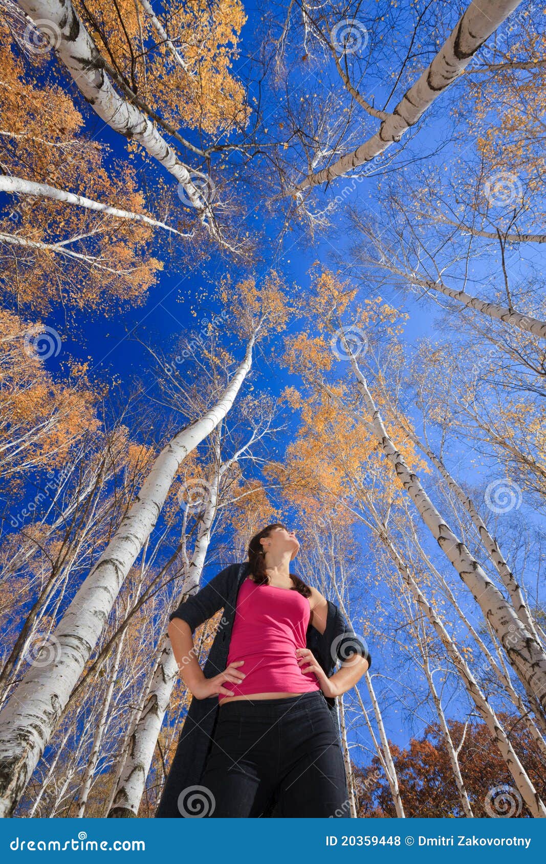 Active Young Girl Resting in a Birch Grove Stock Photo - Image of ...