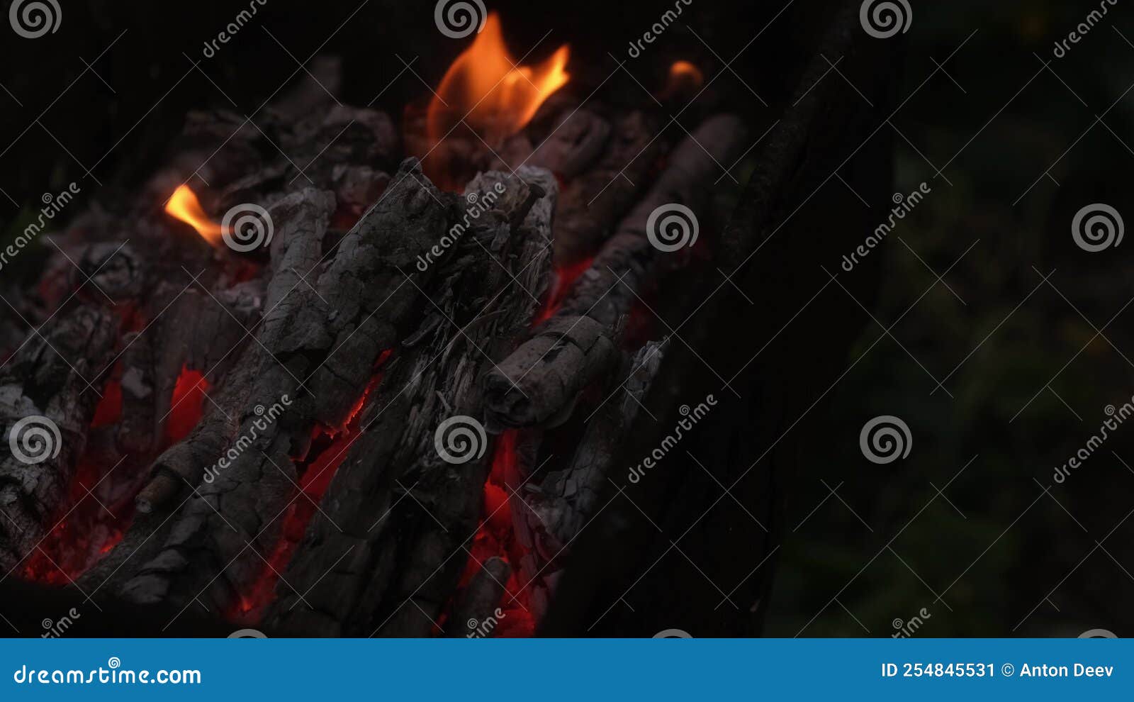 Actively Smoldering Embers of the Fire. Background of Burning Hot Coals ...