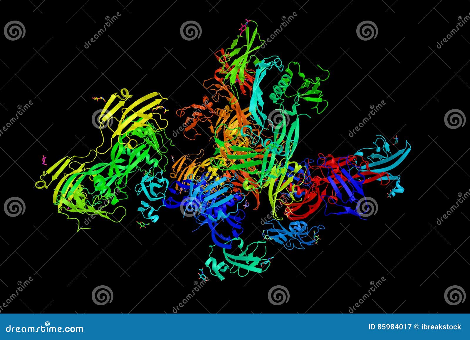 Activin Receptor Type-2B, a Protein that in Humans is Encoded by Stock ...