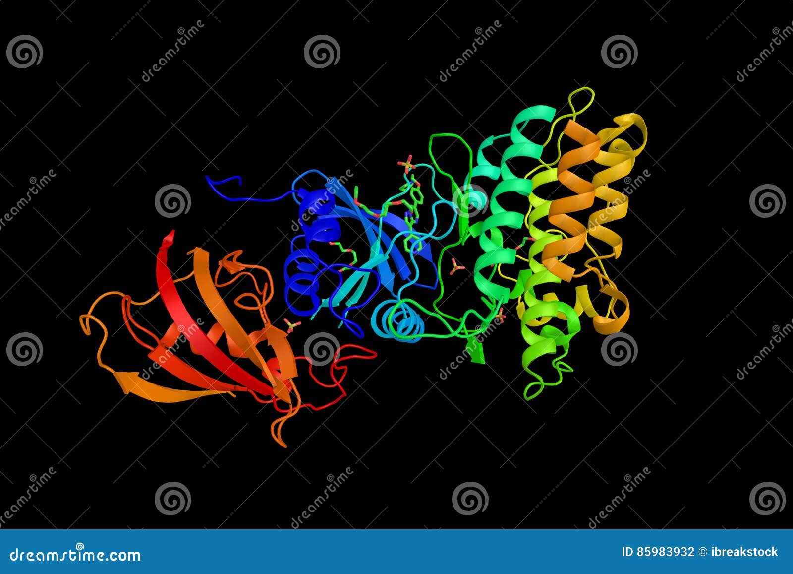 Activin a Receptor, Type I (ACVR1), a Protein Important in the B Stock ...
