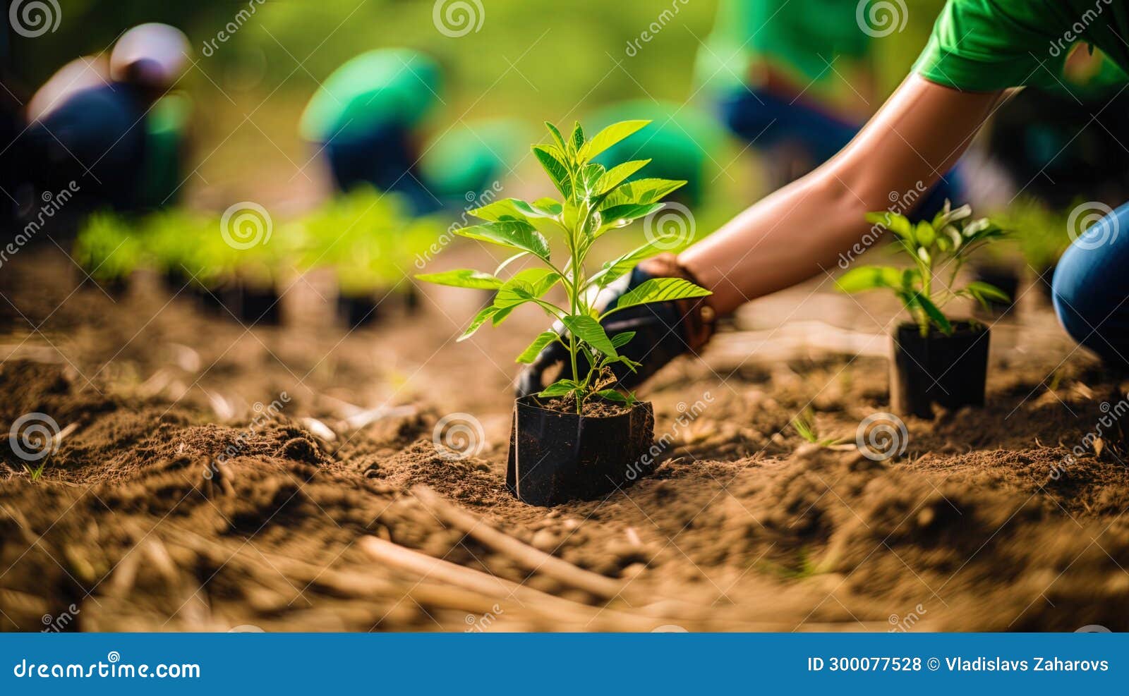 Activists in the Green Future: a Close Plan for Planting Trees Stock ...