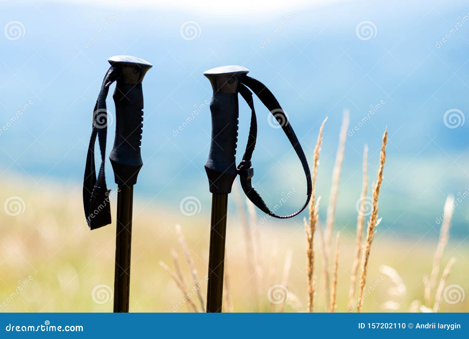Activity Hike Tracking Sticks Stock Photo - Image of hill, stick: 157202110