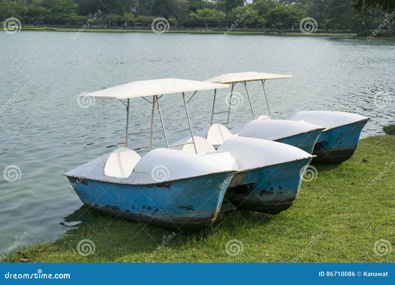 The Activity of Spinning Boat in Lake Stock Photo - Image of duck ...