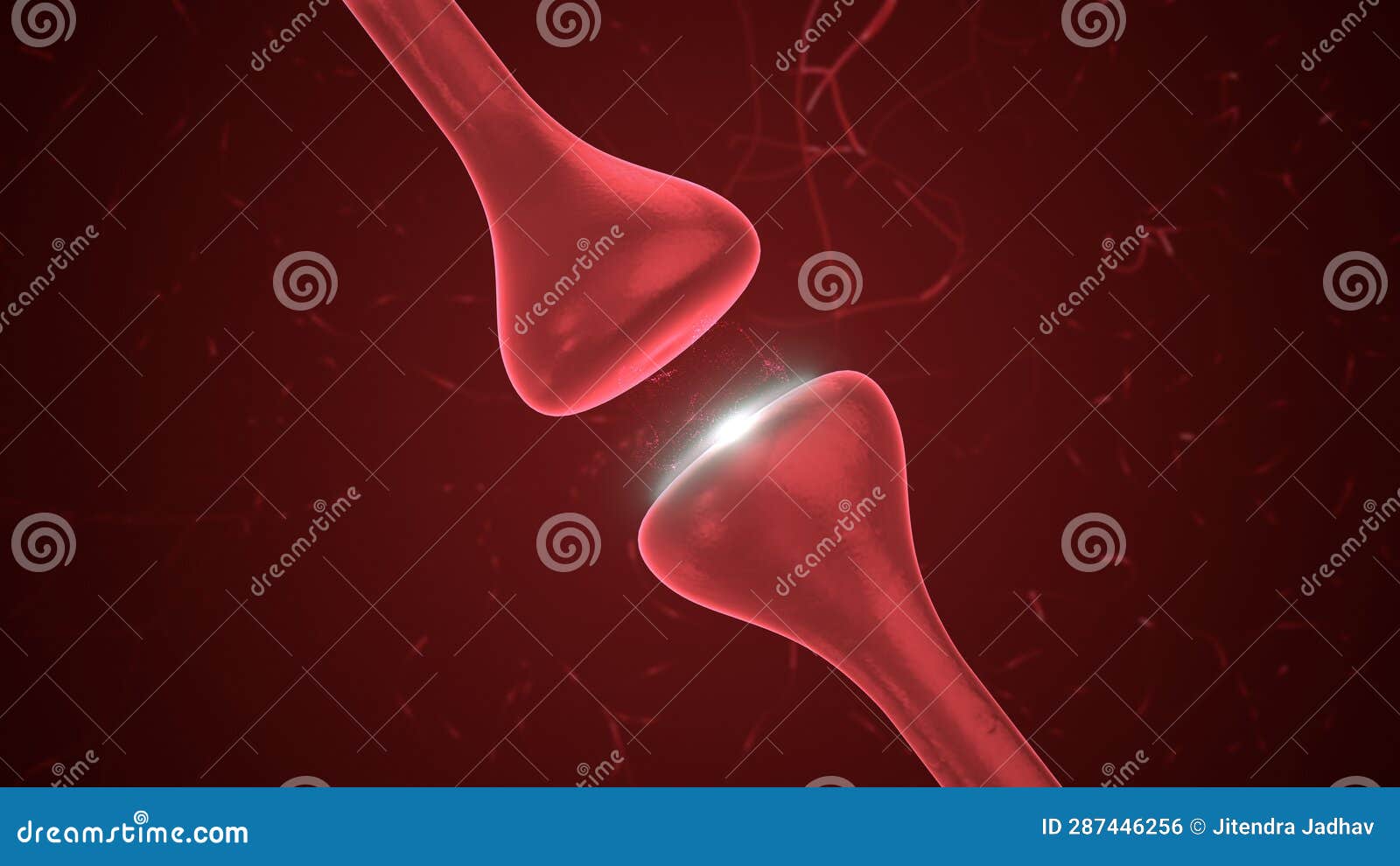 Neuron Receptor and Synapse Activity Stock Photo - Image of functions ...