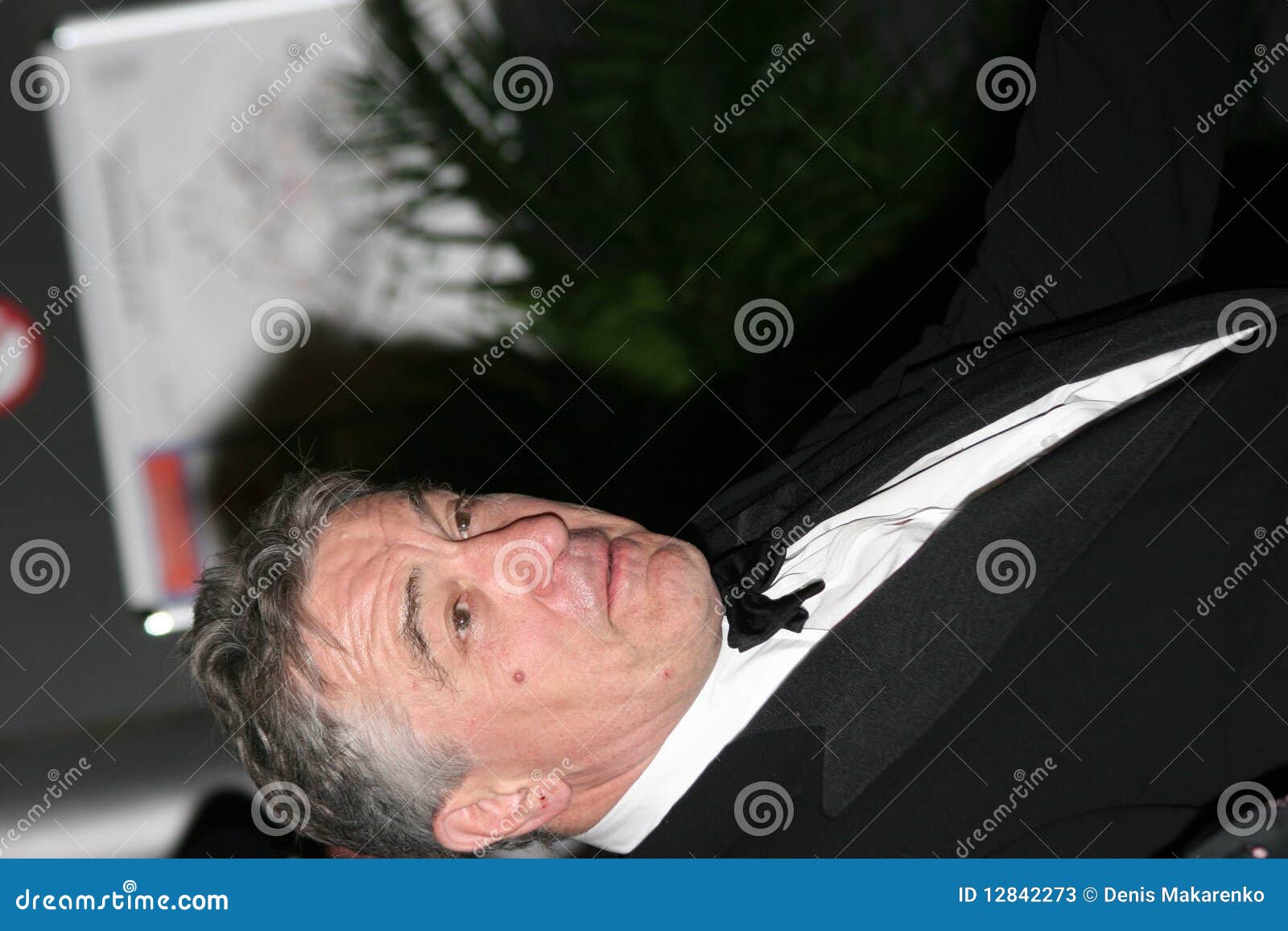 Actor Robert De Niro editorial stock photo. Image of cinema - 12842273