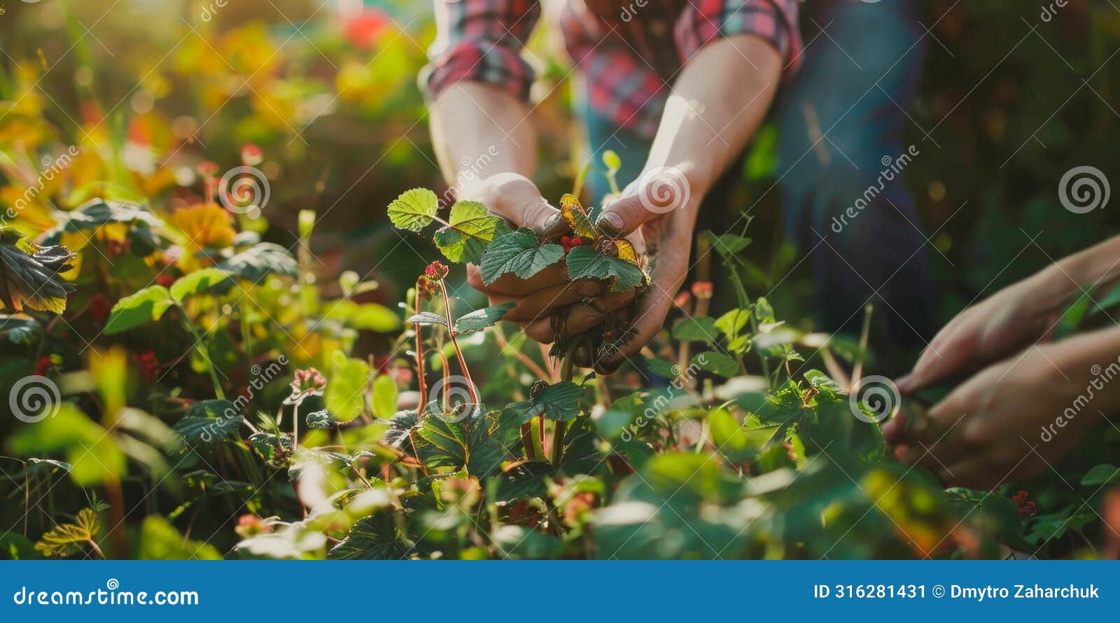 Acts of Caring for Nature: Featuring People Caring for Plants, Animals ...