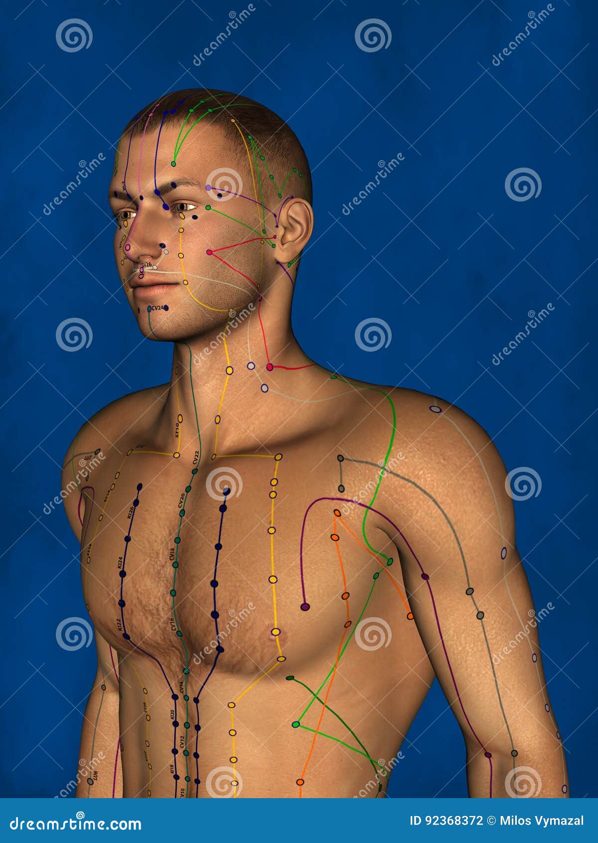 Acupuncture, 3D Model stock illustration. Illustration of acupuncturist ...