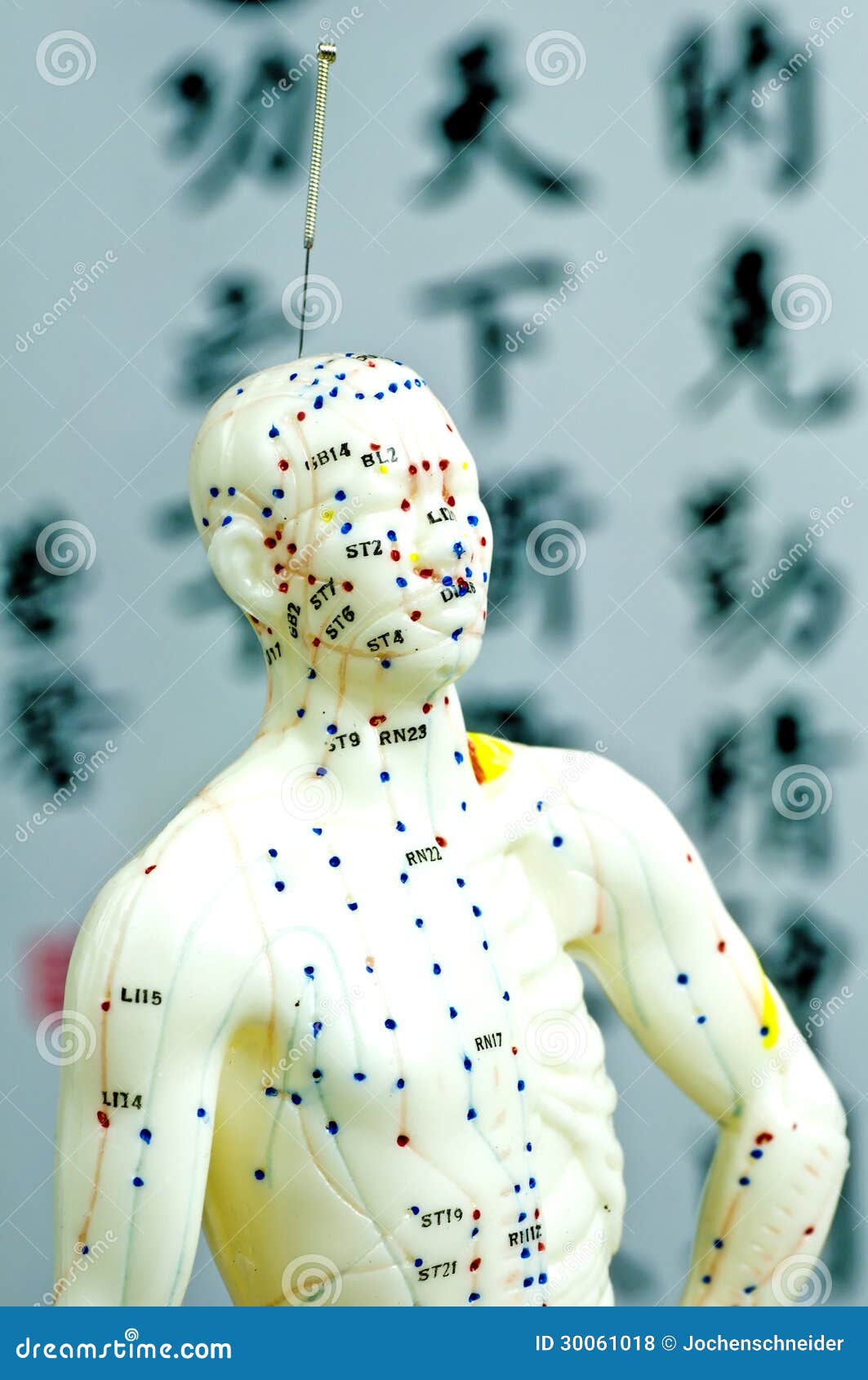 Acupuncture Demonstration On Model Royalty-Free Stock Photo ...