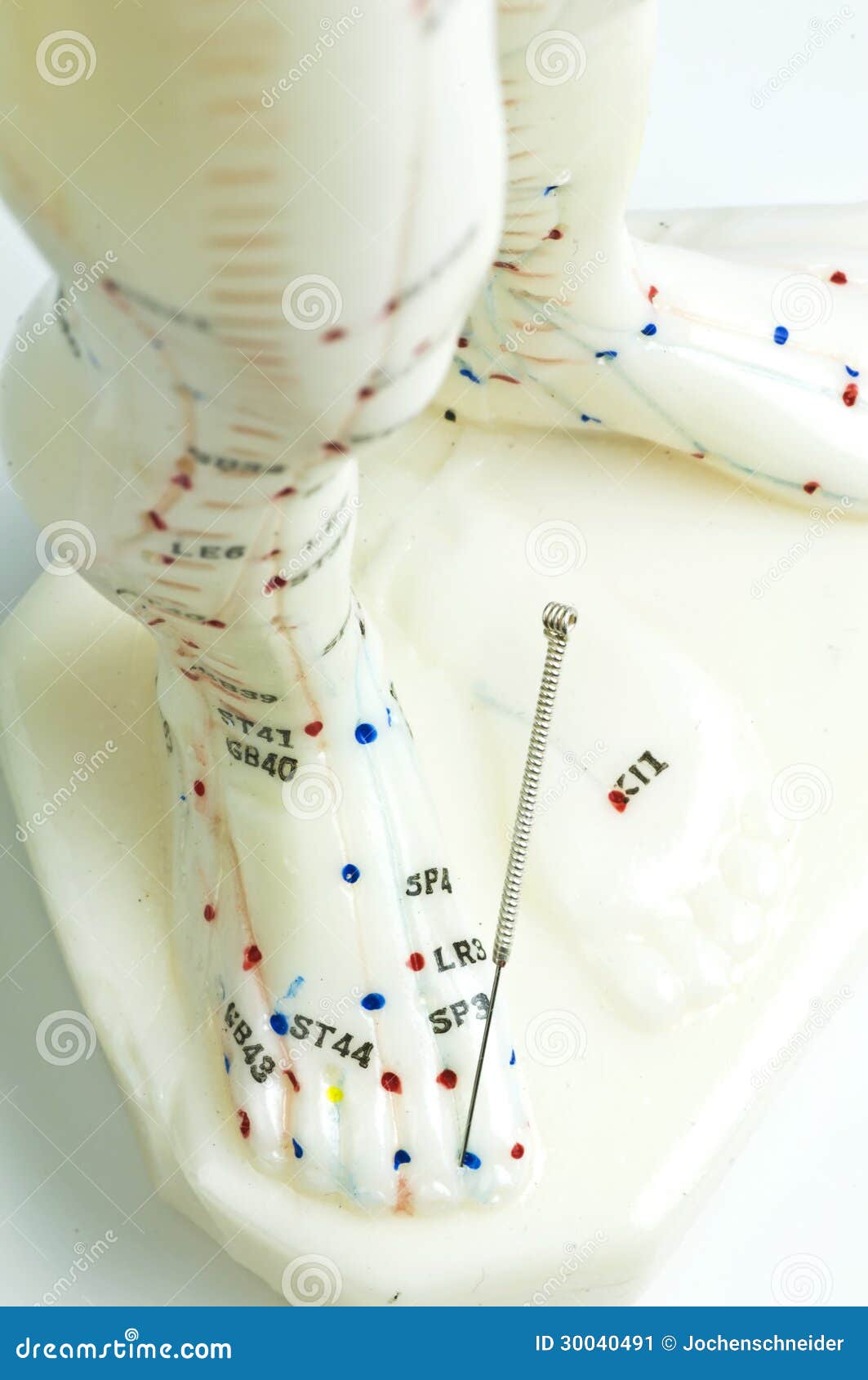 Acupuncture Demonstration on Model Stock Image - Image of tool, healthy ...