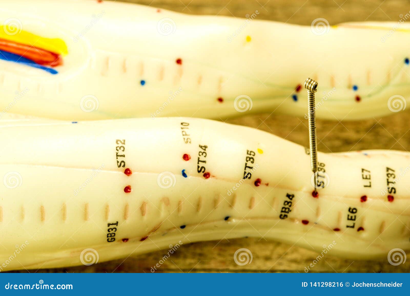 Acupuncture Demonstration on Hand Model Stock Photo - Image of needle ...