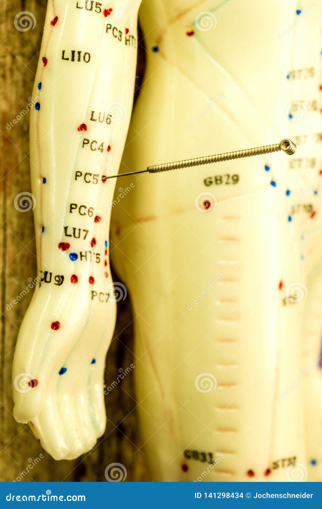Acupuncture Demonstration on Hand Model Stock Photo - Image of teaching ...