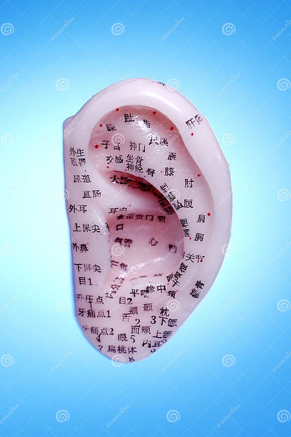 Acupuncture Ear Meridian Points Stock Image - Image of holistic, hear ...