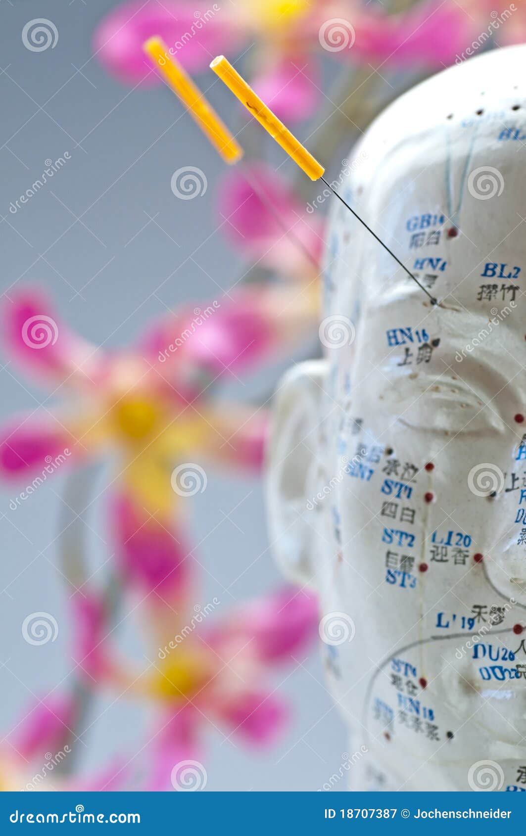 Acupuncture head model stock image. Image of body, cure - 18707387