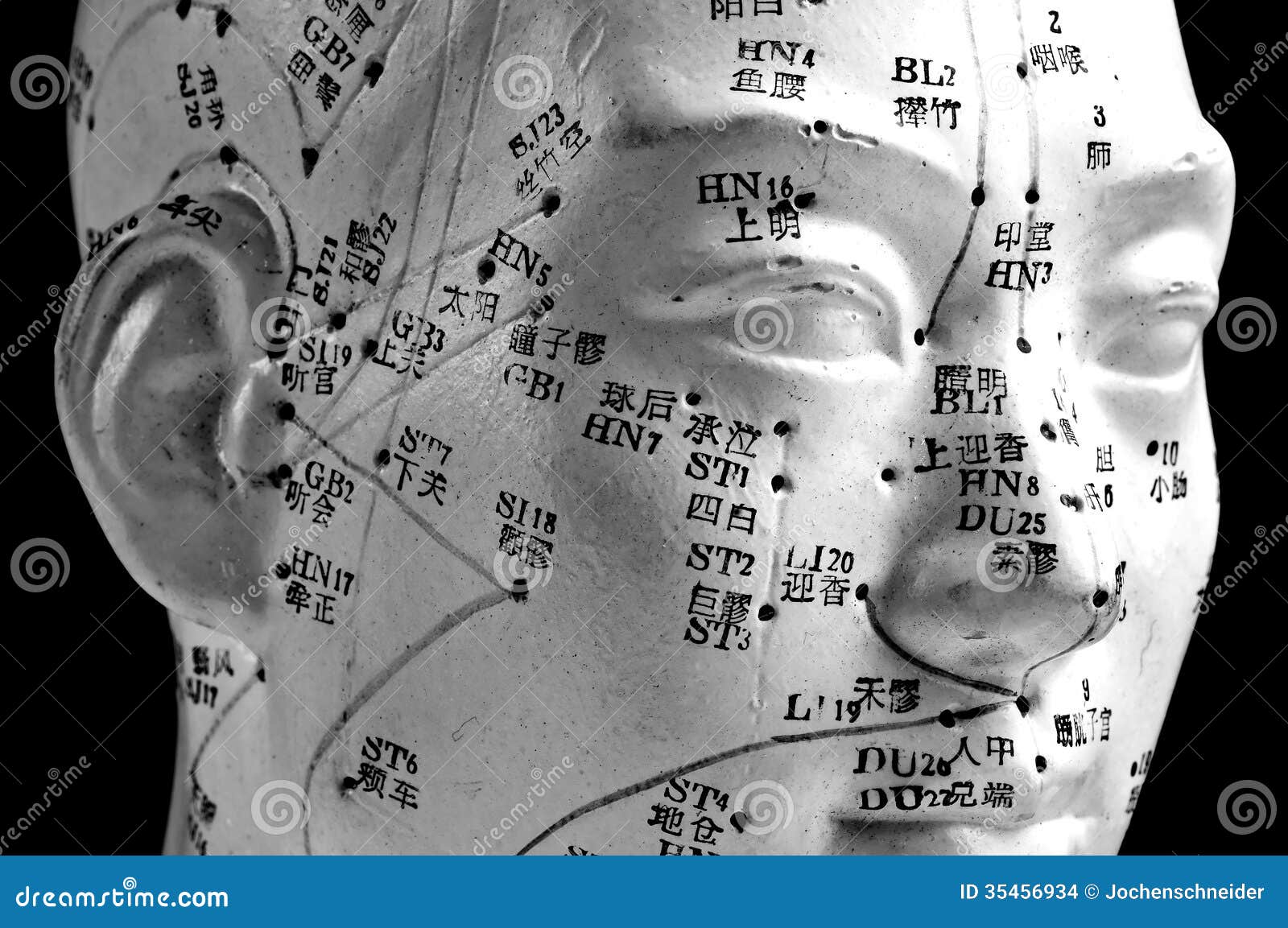 Acupuncture head model stock photo. Image of still, macro - 35456934