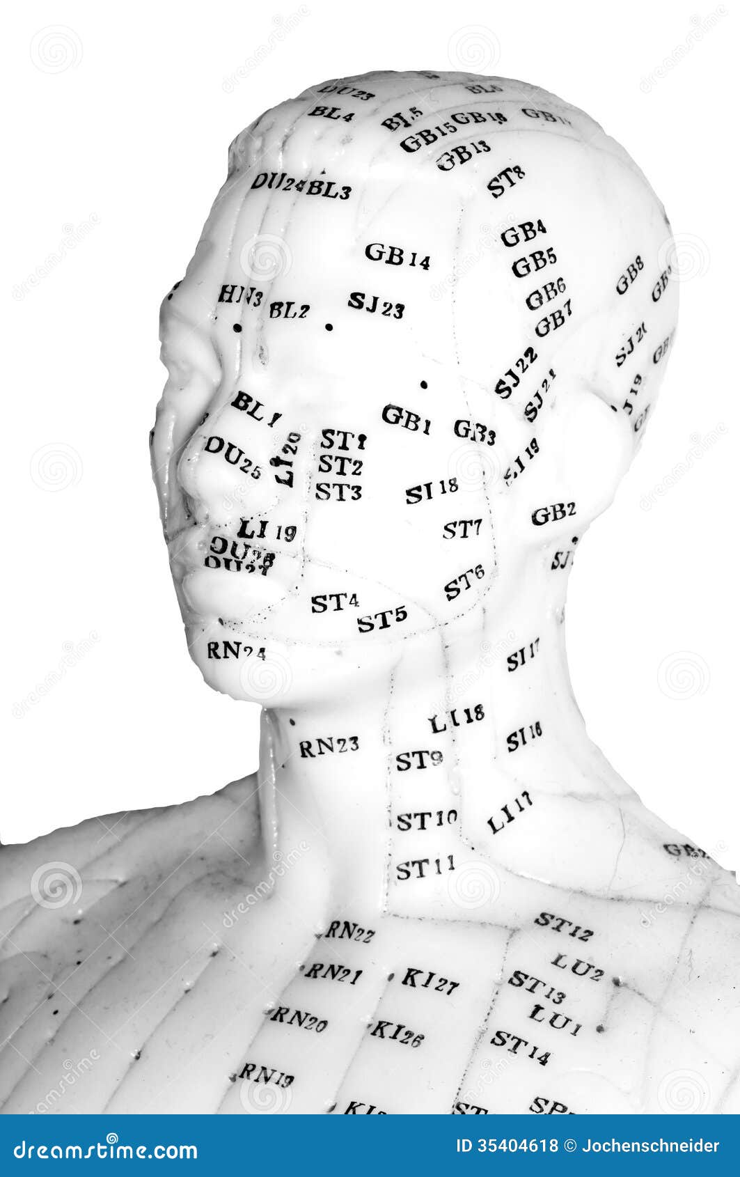 Meridian Head Acupuncture Points Stock Photo | CartoonDealer.com #5123886