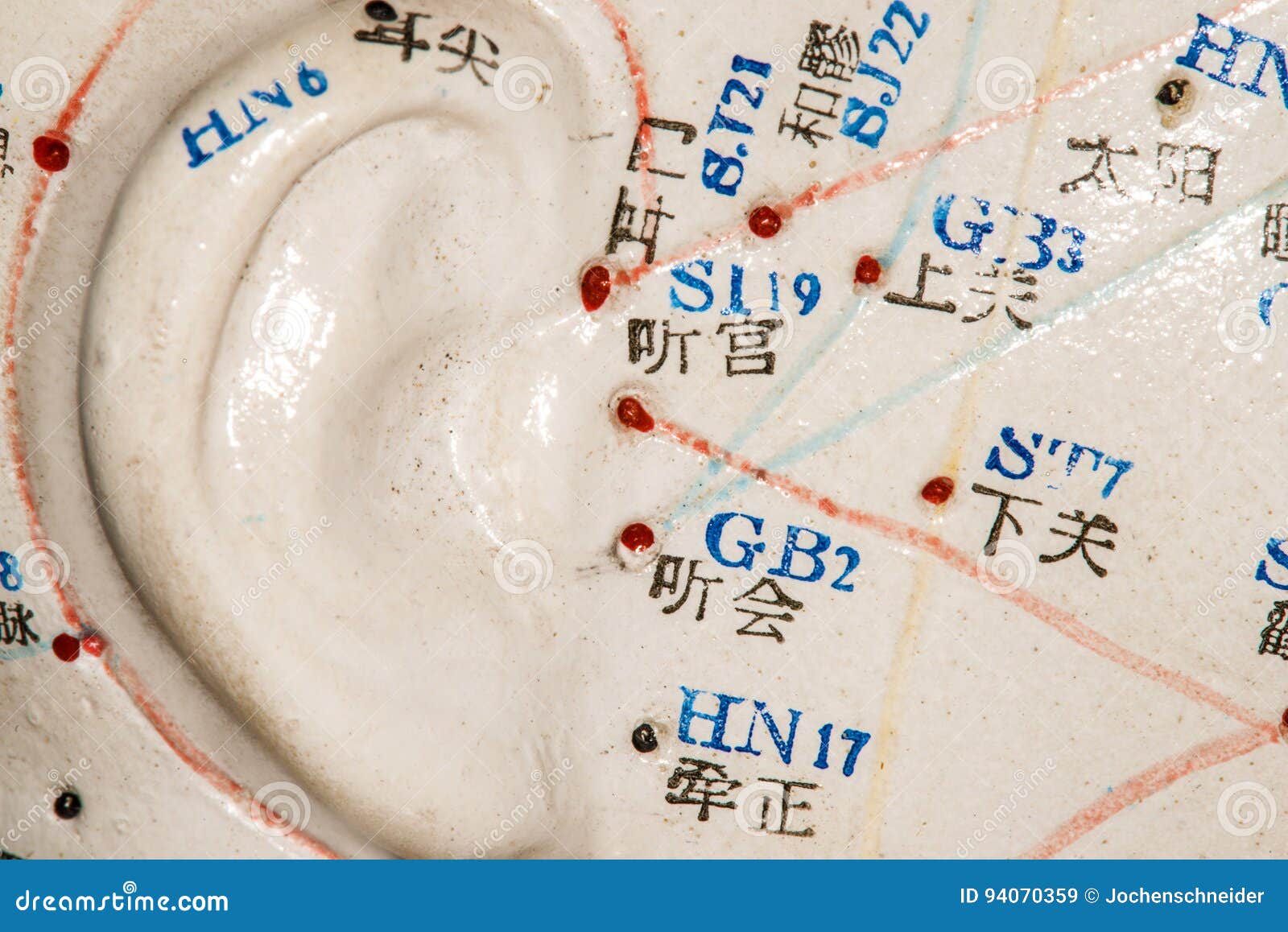 Meridian Head Acupuncture Points Stock Photo | CartoonDealer.com #5123886