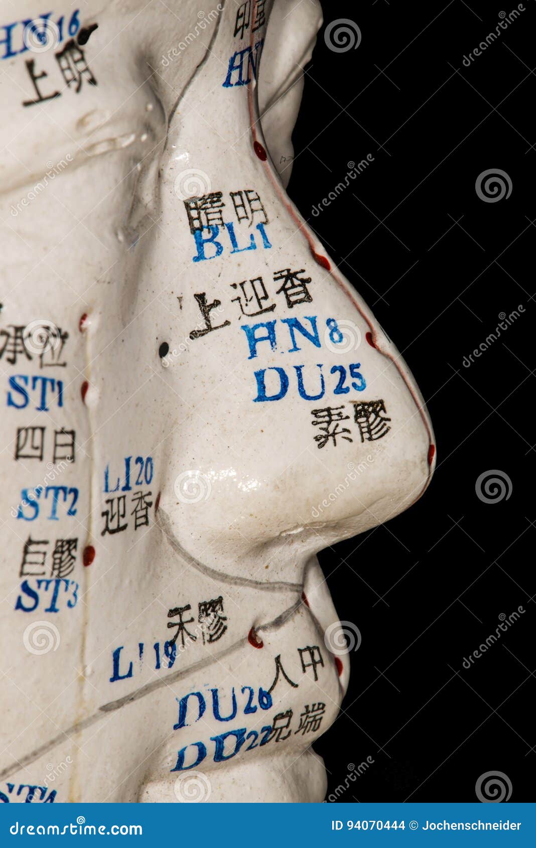Acupuncture head model stock photo. Image of nose, acupuncture - 94070444