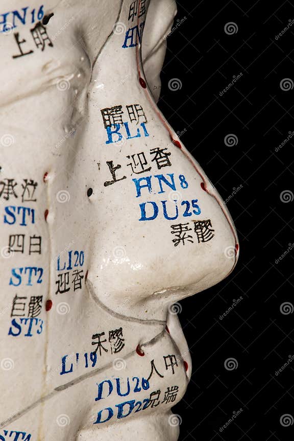 Acupuncture head model stock photo. Image of nose, acupuncture - 94070444