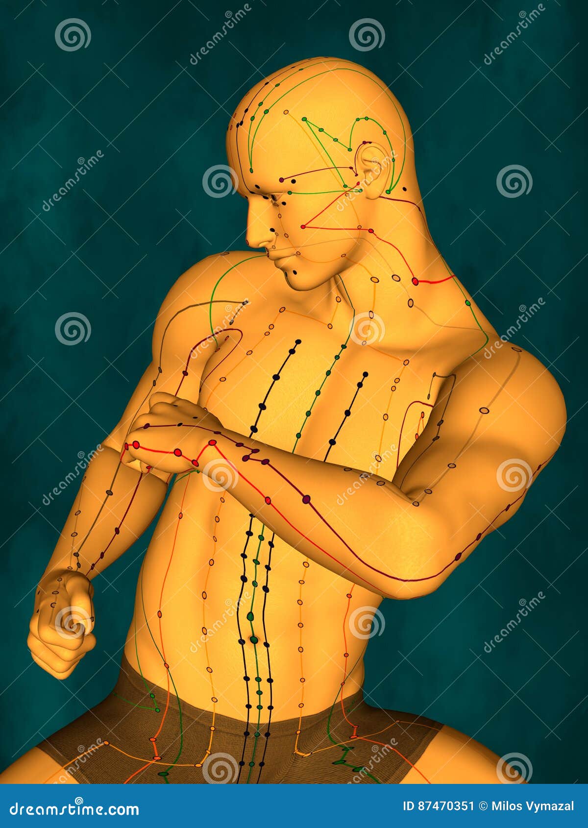 Acupuncture Model, 3D Illustration Stock Illustration - Illustration of ...