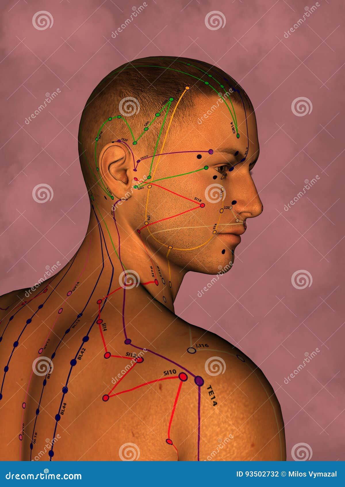 Acupuncture Model, 3D Illustration Stock Illustration - Illustration of ...