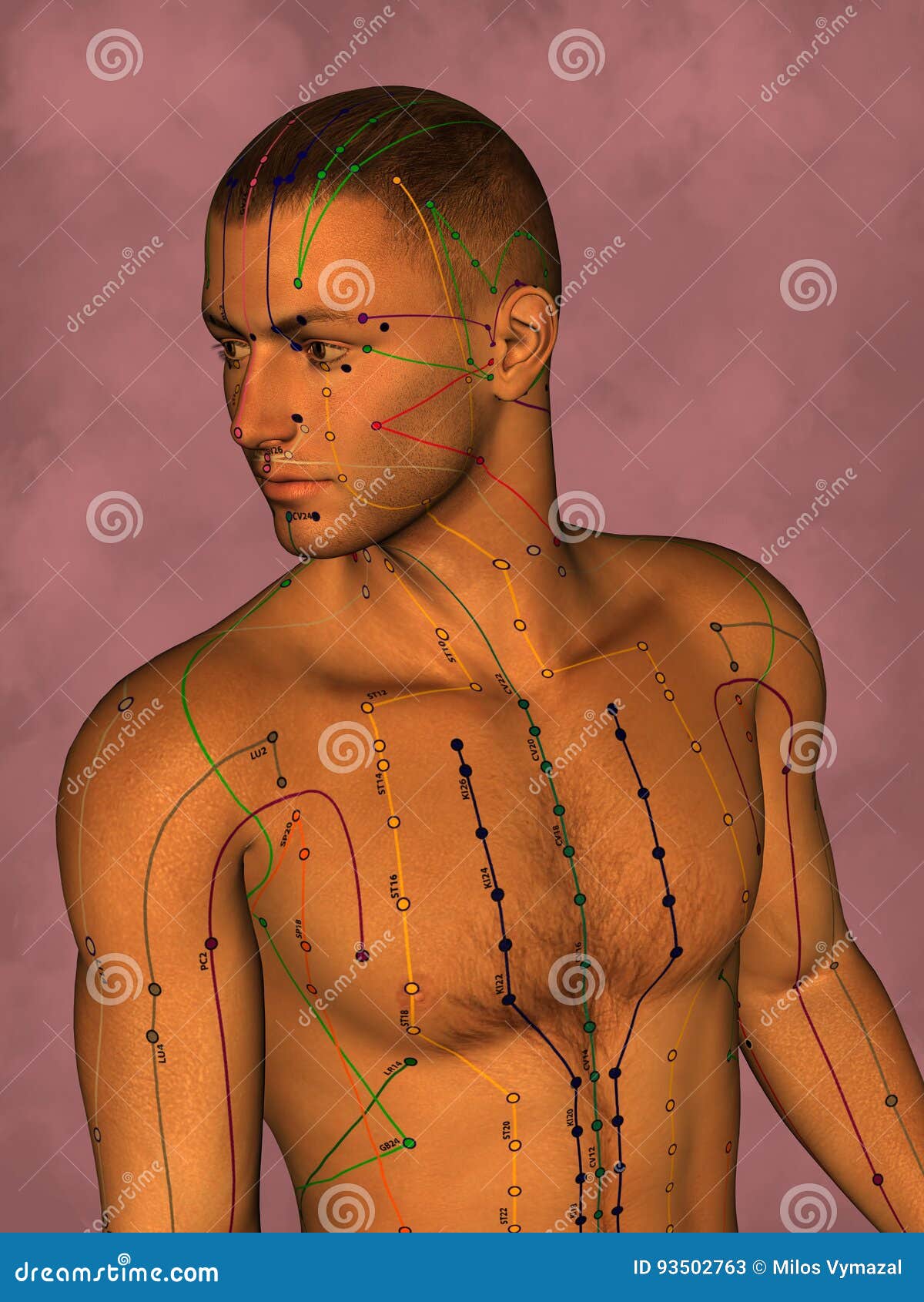 Acupuncture Model, 3D Illustration Stock Illustration - Illustration of ...