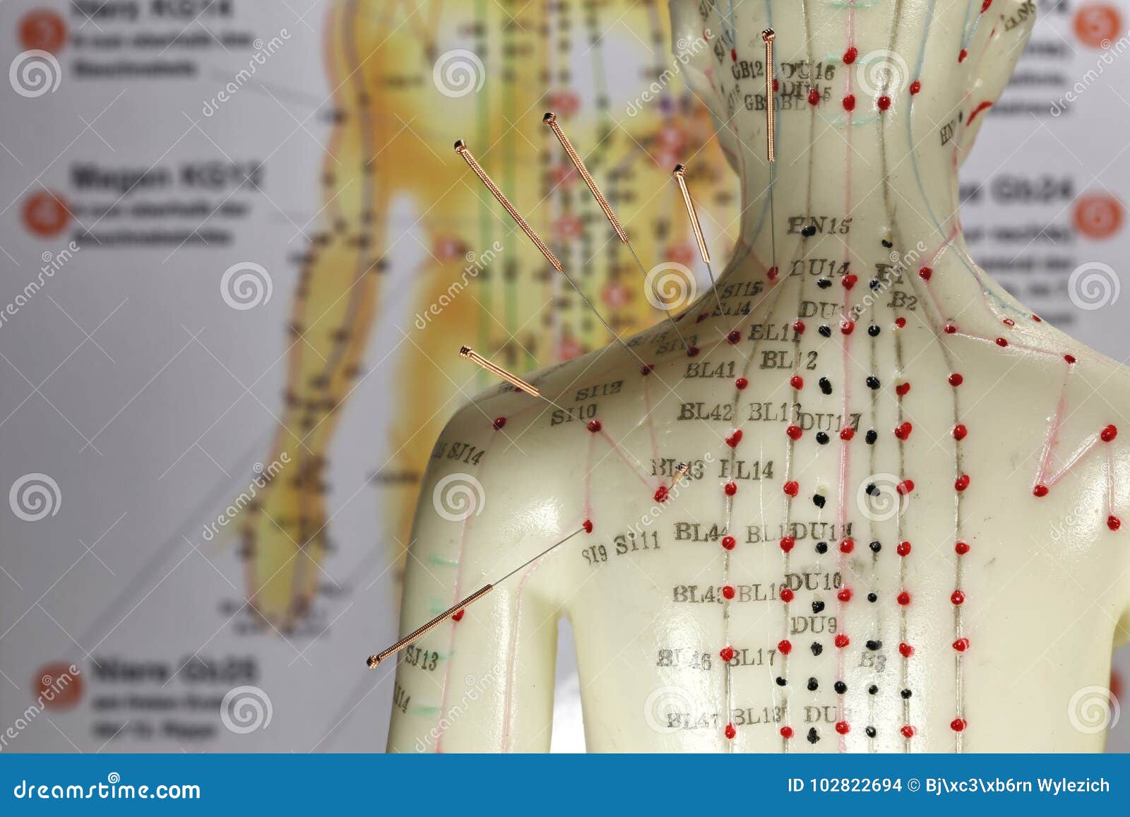 Acupuncture model stock photo. Image of needles, figure - 102822694