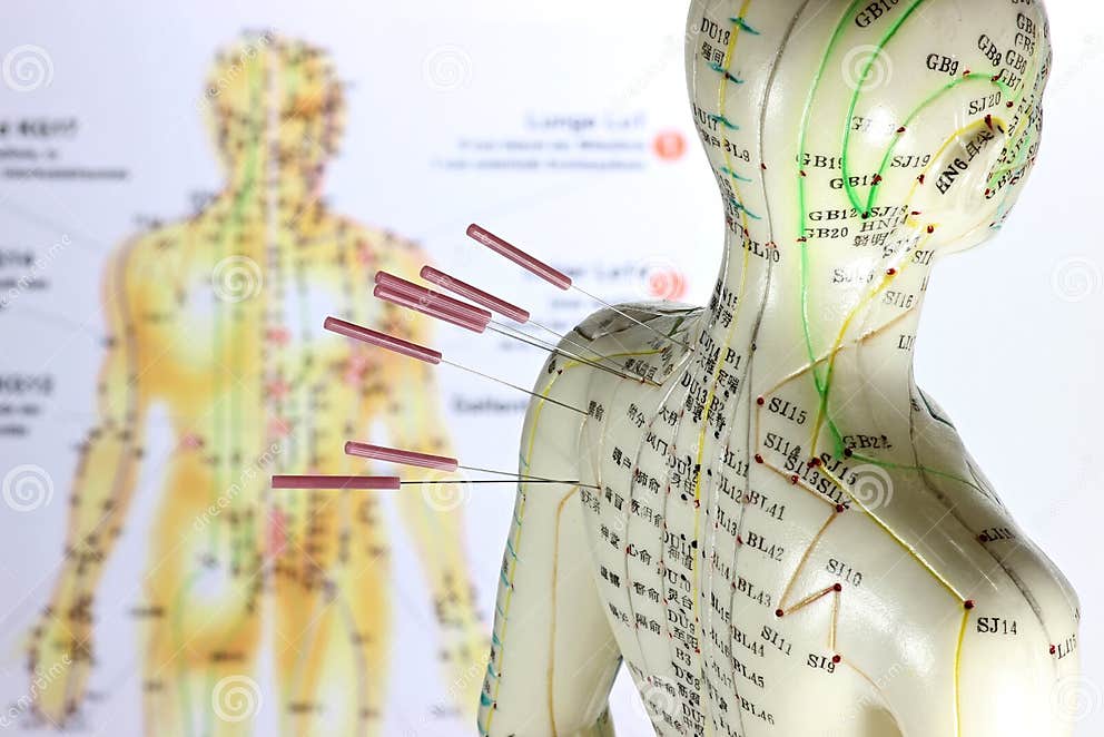 Acupuncture model stock photo. Image of chinese, medical - 64395220