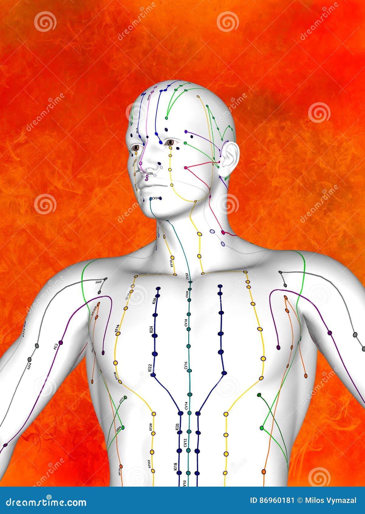Acupuncture Model Stock Illustration Illustration Of Point 86960181