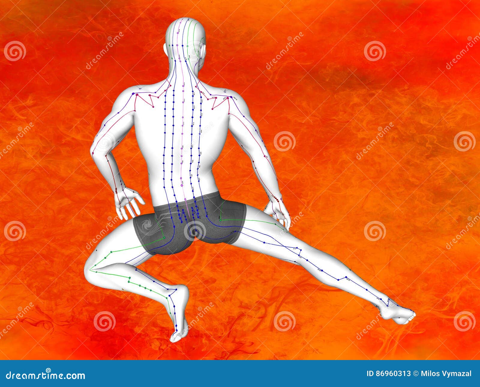 Acupuncture model stock illustration. Illustration of points - 86960313