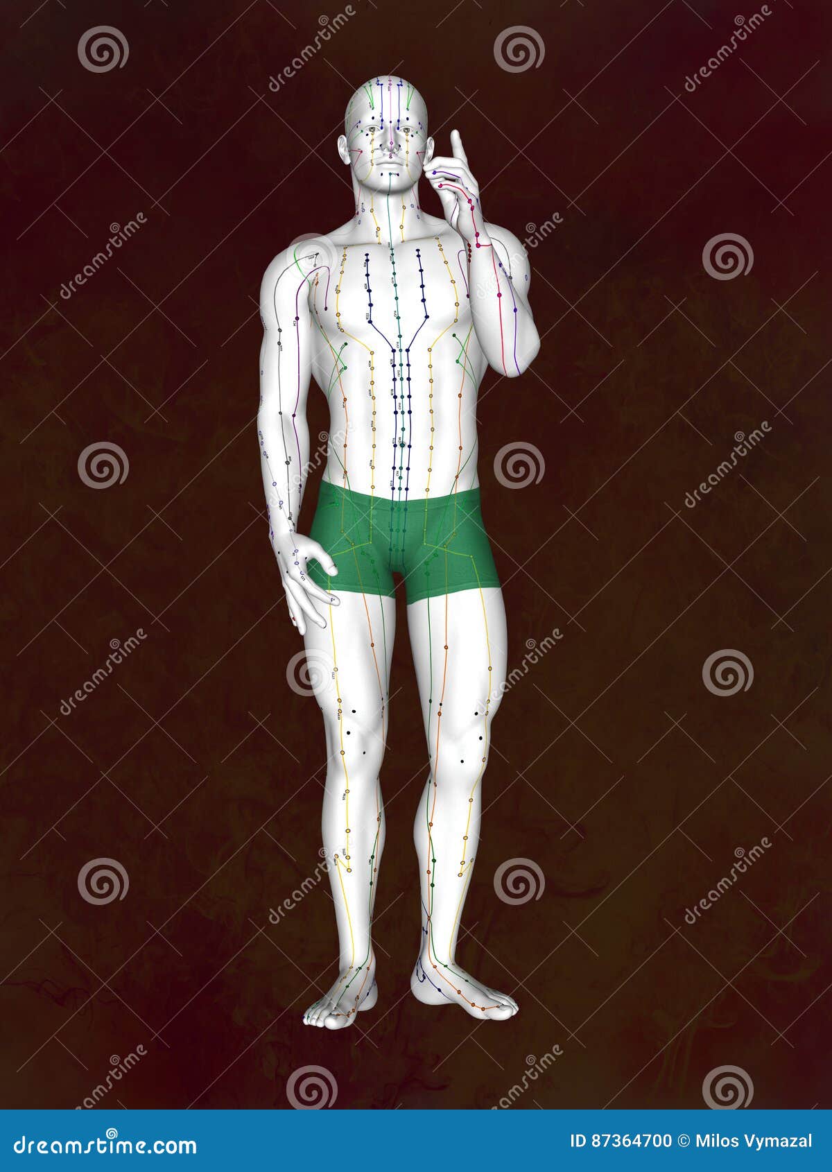 Acupuncture Model M-POSE EHP-02-1, 3D Illustration Stock Illustration ...